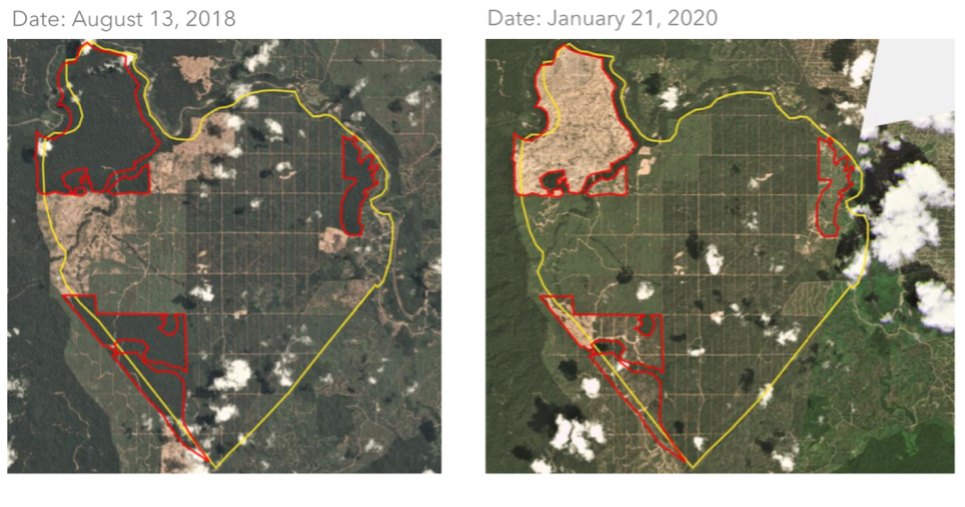 Rapid Response Success Stories - Mighty Earth