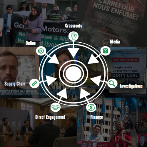 Mighty Earth - About Us