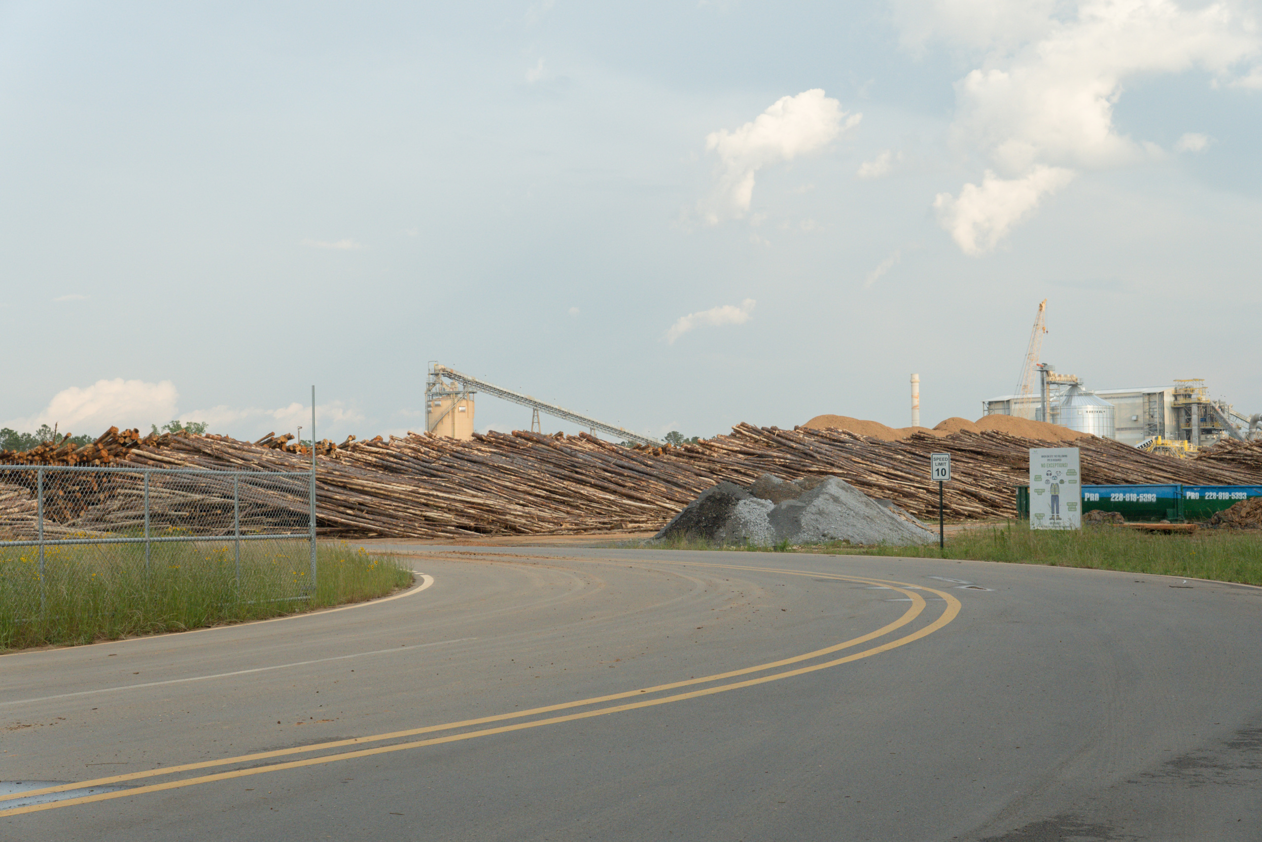 Japanese Financiers Address Big Bad Biomass - Mighty Earth