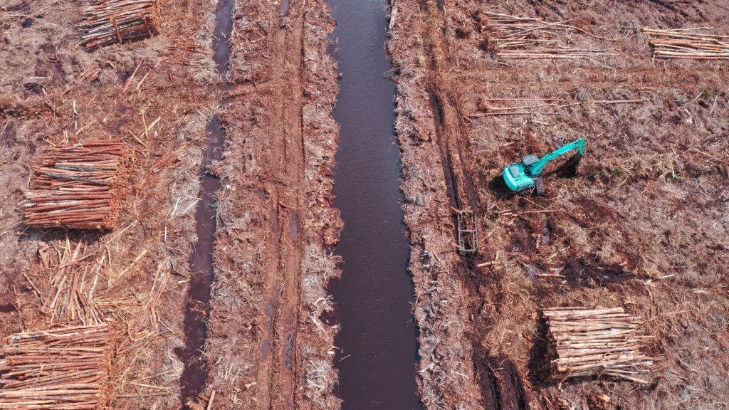 Letter from Government Ministry Tells Indonesia's Largest Deforester to ...
