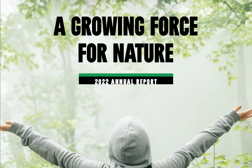 About - Mighty Earth