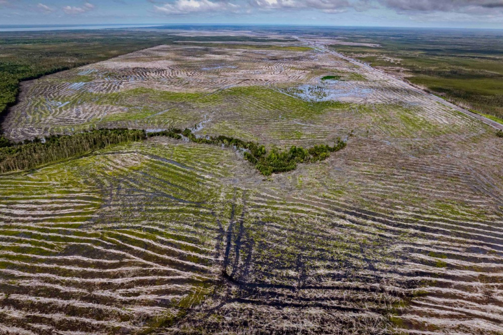 Chocolate Scorecard 2023: cocoa's impact on deforestation and climate ...