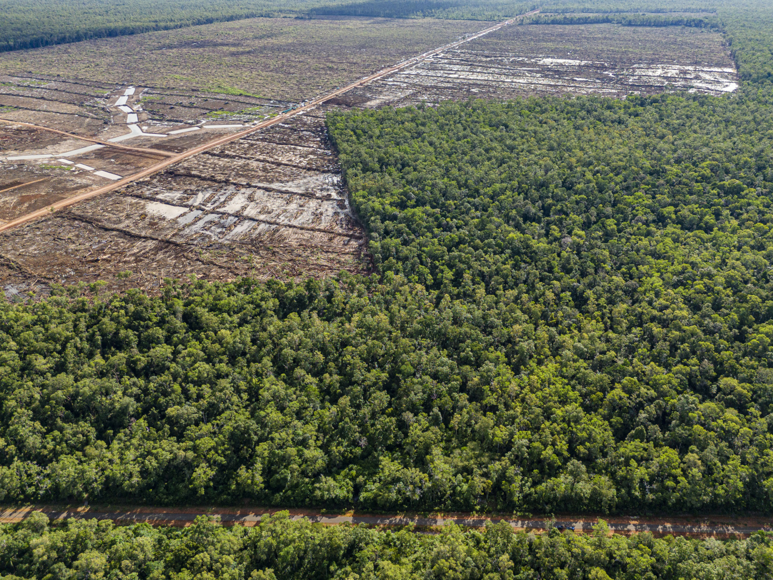 2025 – The Year of Never Impossible - Mighty Earth