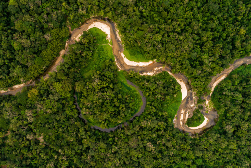 CEO Note: Billions for Rainforests! - Mighty Earth