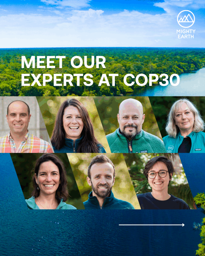 Mighty Earth at COP 30