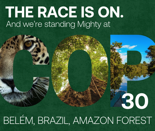 Mighty Earth at COP 30