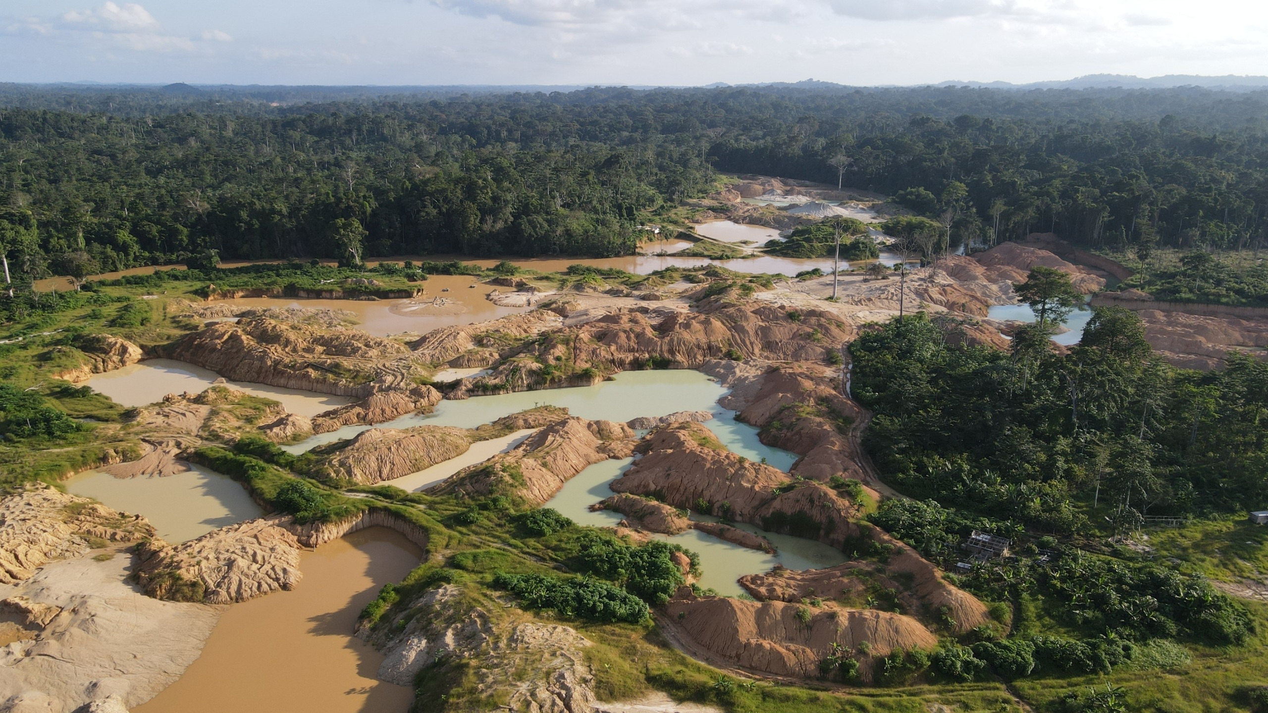 Going for Gold: Ghana removes mining law threatening forest reserves - Mighty Earth