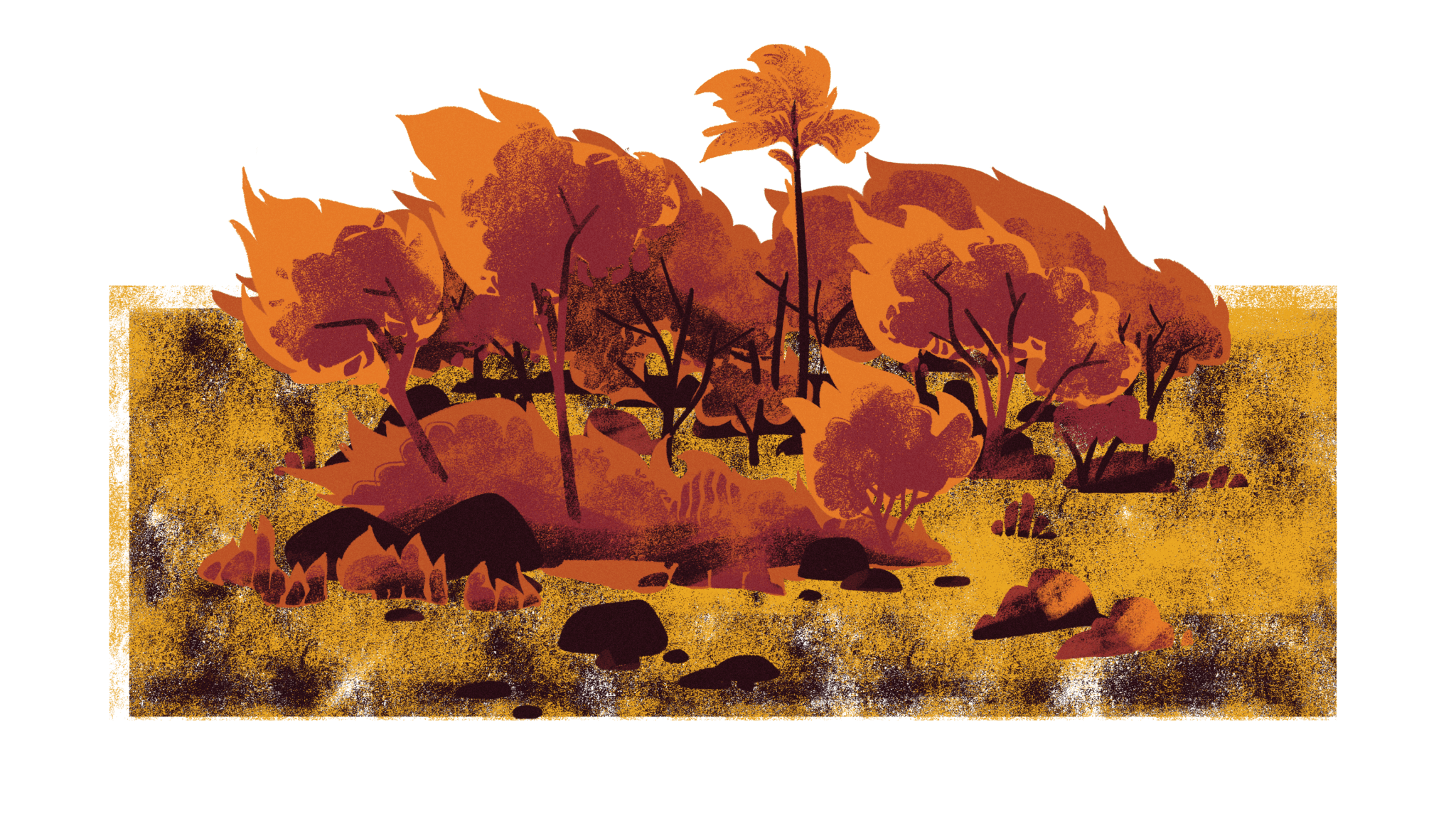 Saving the Cerrado: Why Bunge, supermarkets and governments must act ...