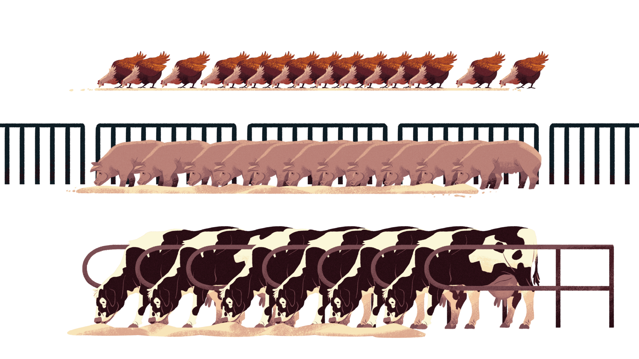 Saving the Cerrado: Why Bunge, supermarkets and governments must act ...