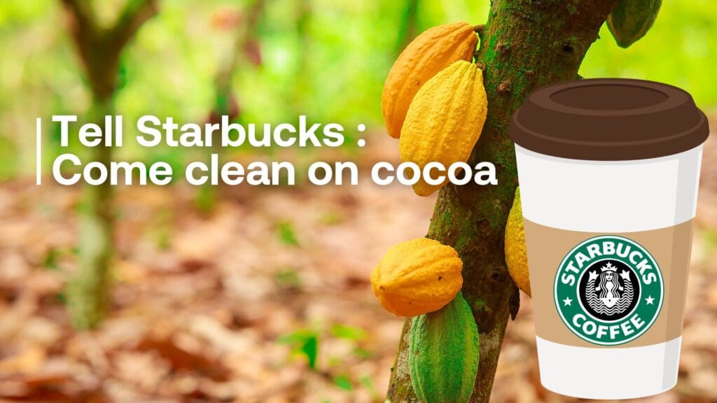 Tell Starbucks to come clean on cocoa - Mighty Earth